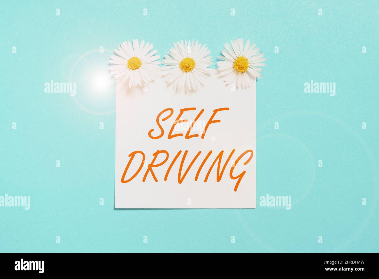 Inspiration showing sign Self Driving. Business overview Autonomous ...