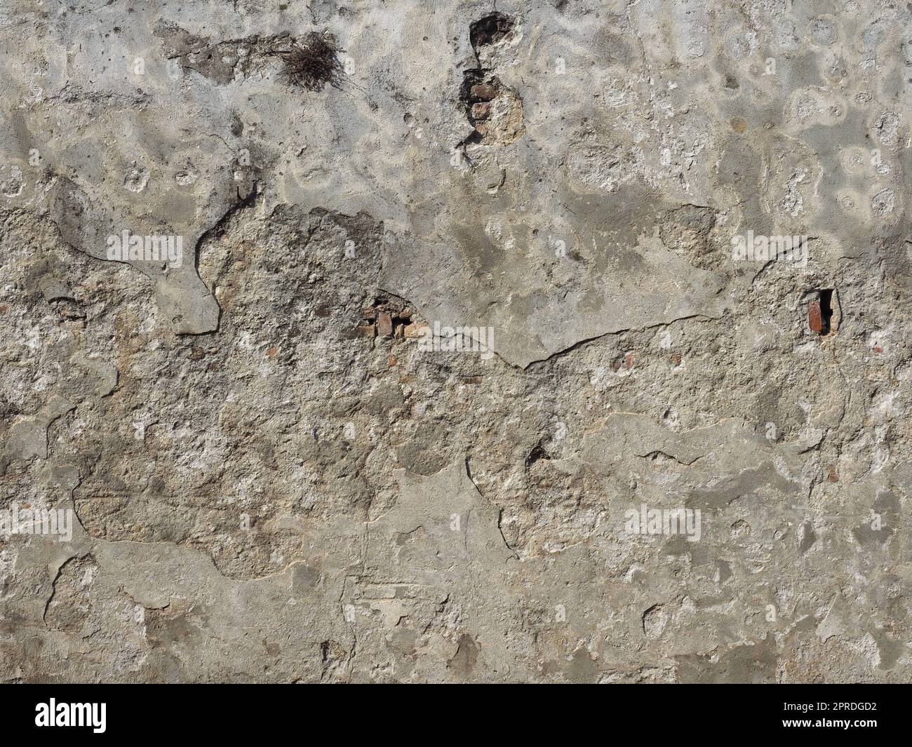 plaster peeling off a wall Stock Photo - Alamy