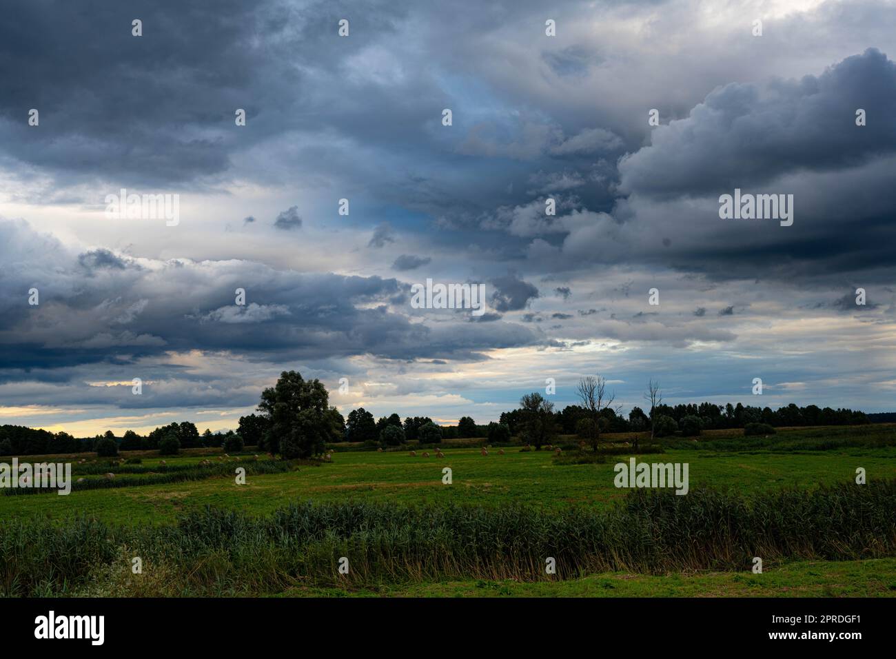Beautiful landscape river warta hi-res stock photography and images - Alamy