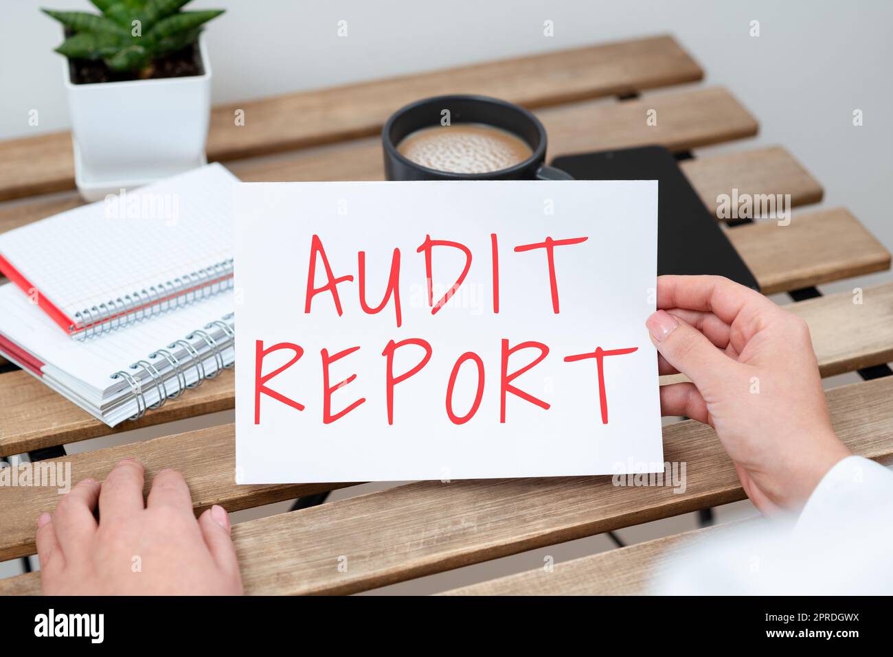 Text caption presenting Audit Report. Business concept An appraisal of ...