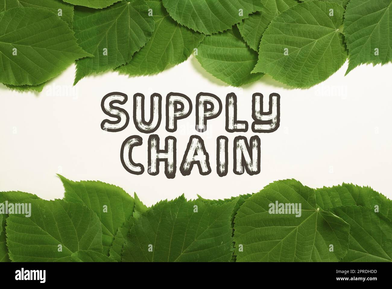 Inspiration showing sign Supply Chain. Conceptual photo System of ...