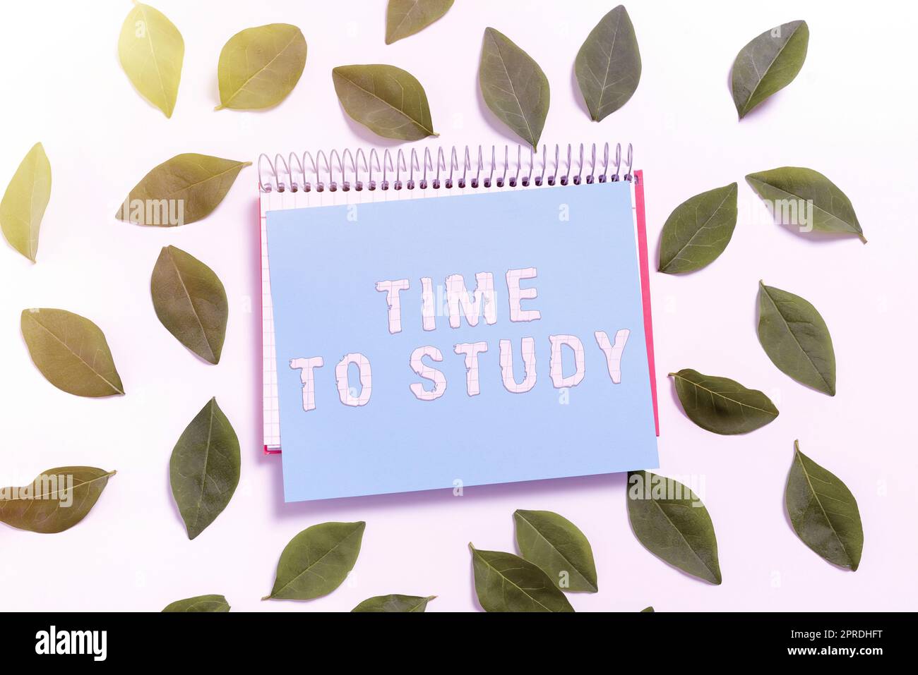 Graduate student blank sign hi-res stock photography and images - Alamy