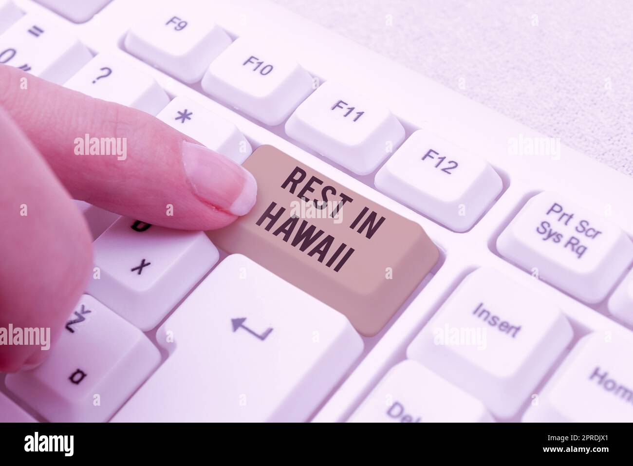 Conceptual display Rest In Hawaii. Business showcase Have a relaxing ...