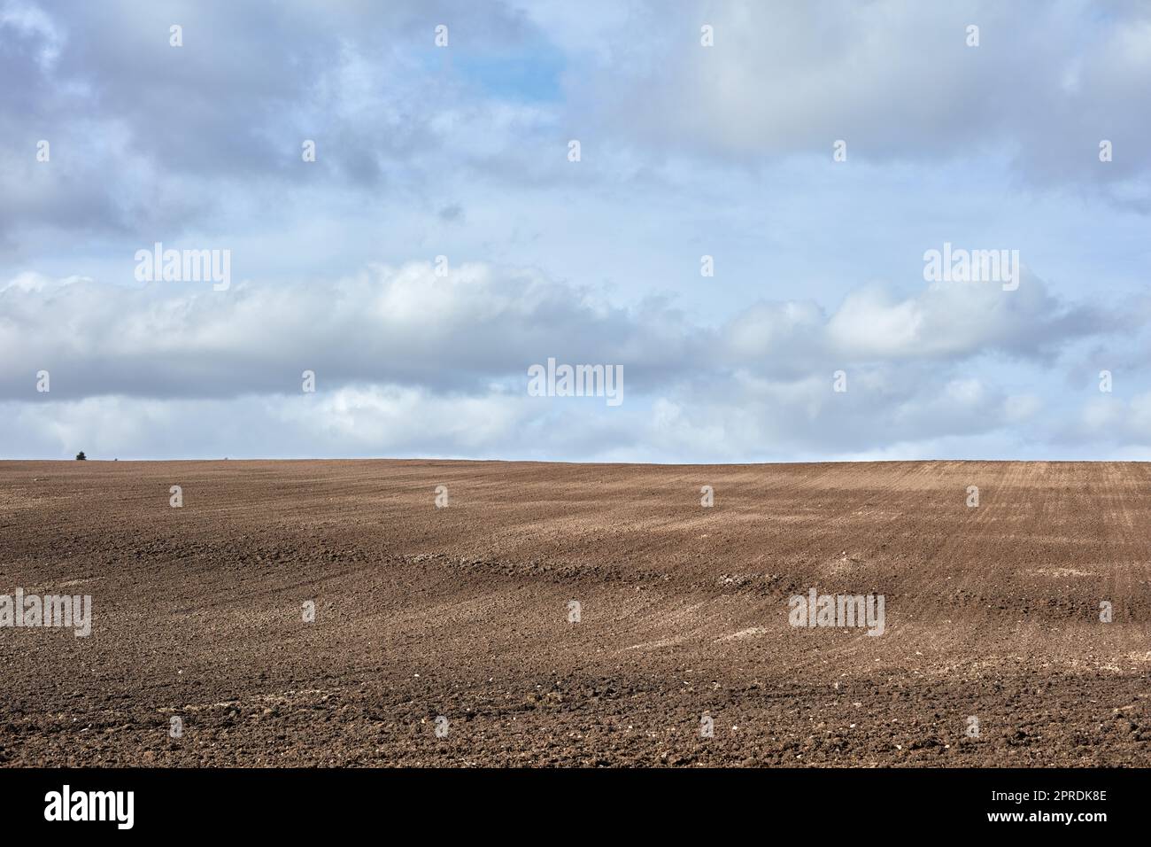 Early springtime in the countryside - Denmark. A photo of the ...