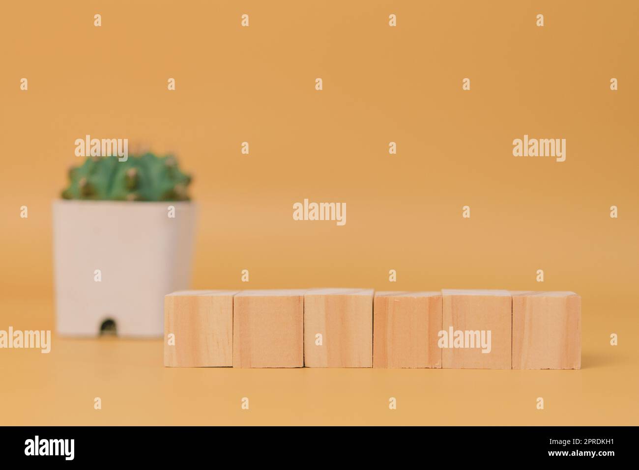 Blank tree hi-res stock photography and images - Alamy