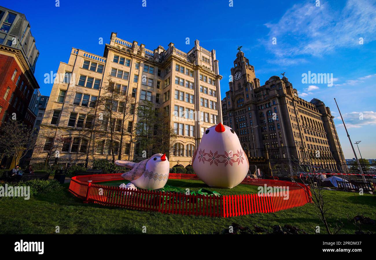 Inflatable illuminated Ukrainian Song Birds are placed around Liverpool ...