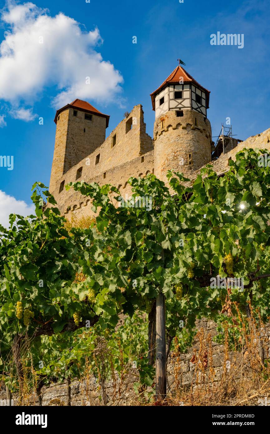 Most beautiful vineyards in Germany Stock Photo - Alamy