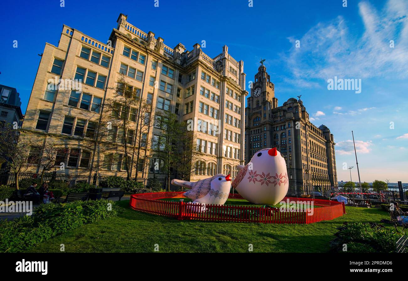 Inflatable illuminated Ukrainian Song Birds are placed around Liverpool ...