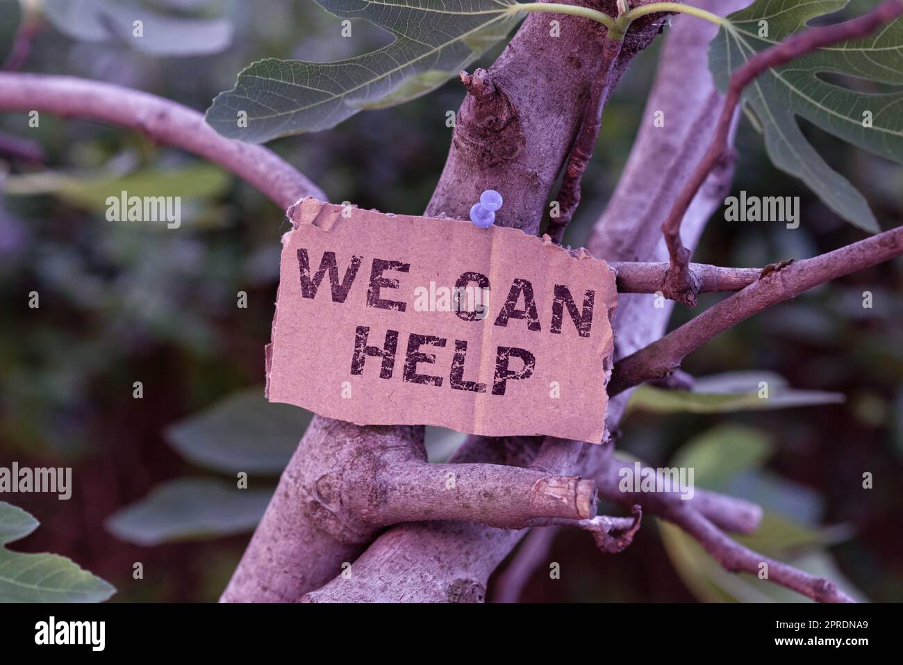 Conceptual caption We Can Help. Business overview Let us support you ...