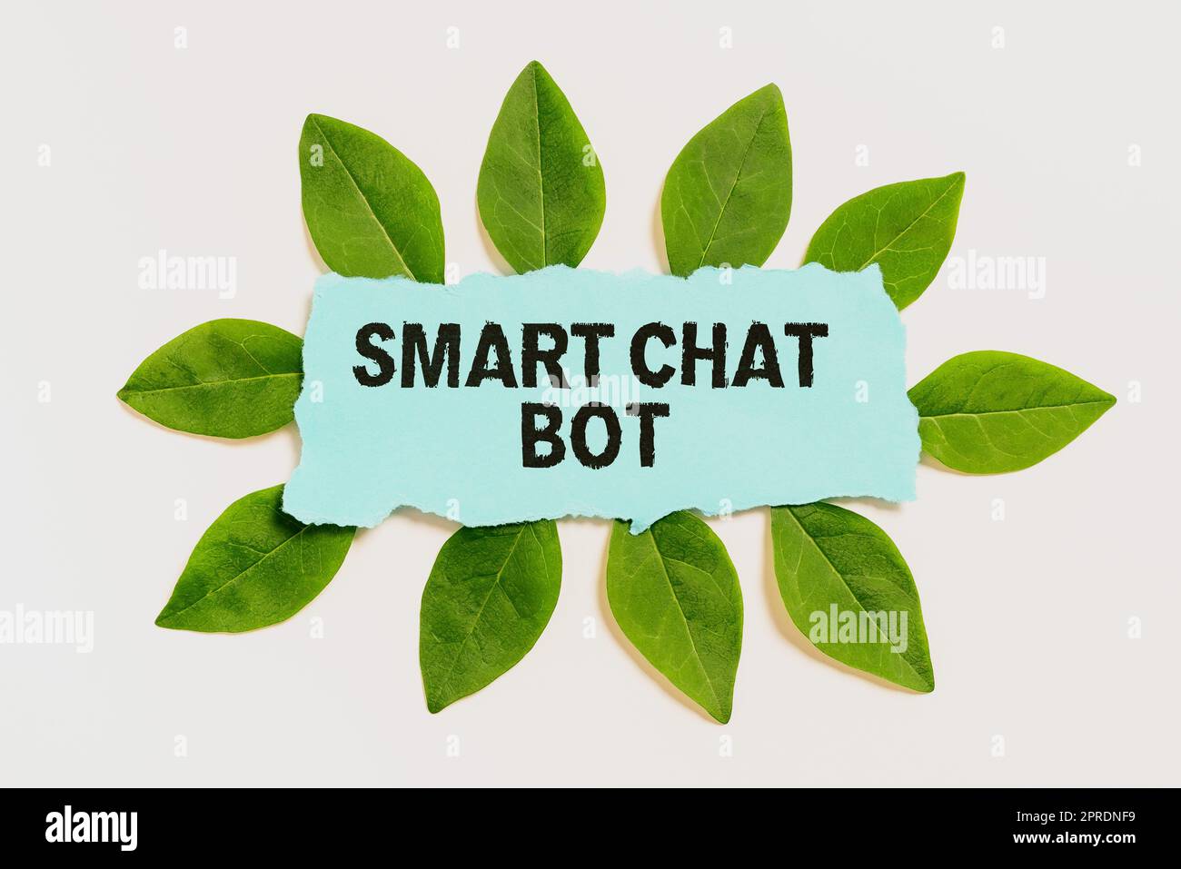 Text caption presenting Smart Chat Bot. Conceptual photo Artificial ...