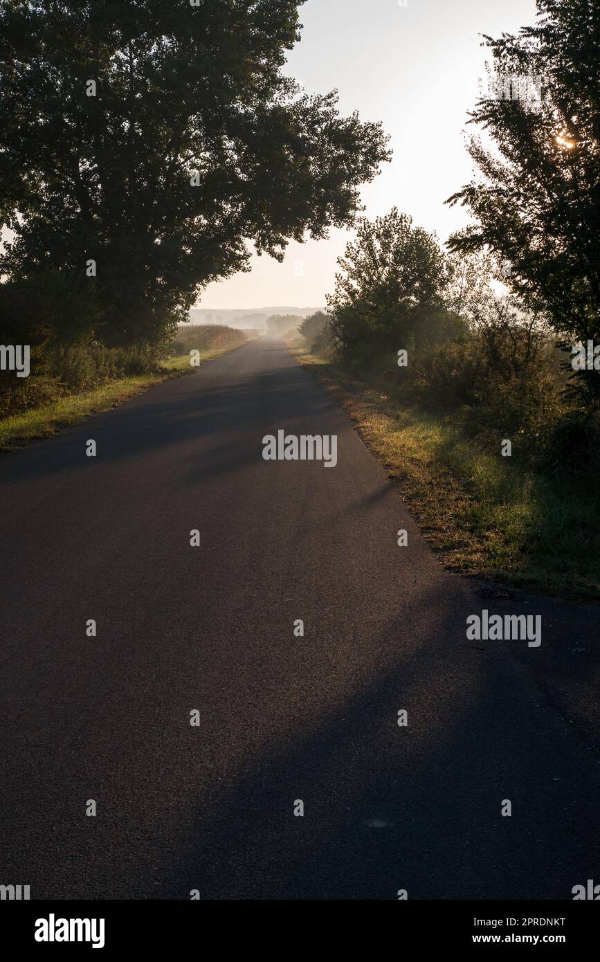 Road light hi-res stock photography and images - Alamy