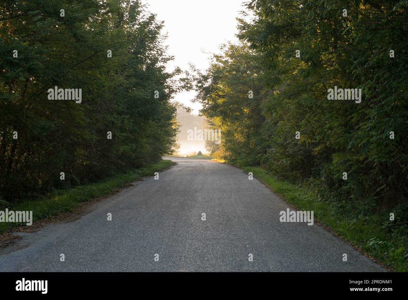 Road light hi-res stock photography and images - Alamy