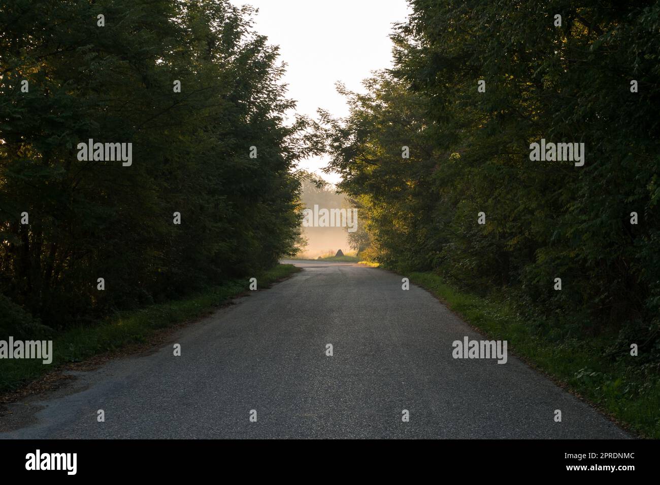 Light at the end of the road Stock Photo - Alamy