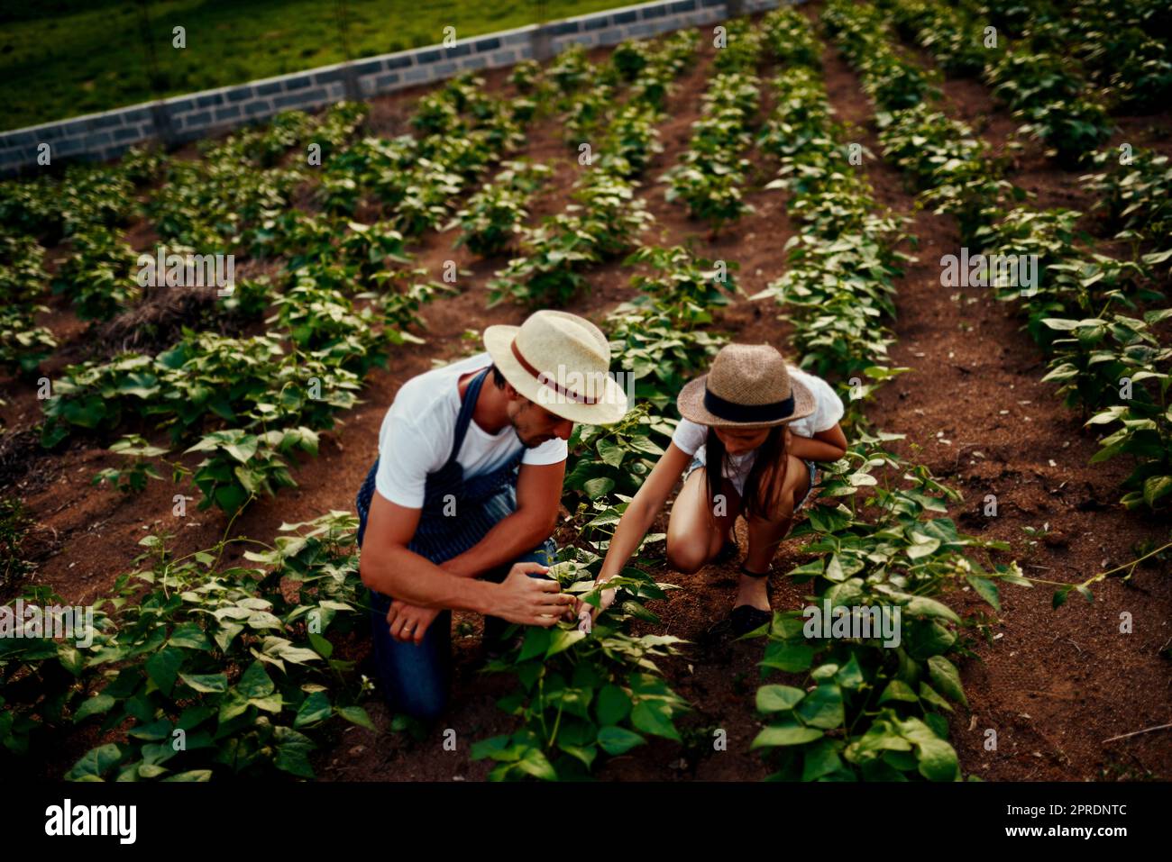 Individual farm hi-res stock photography and images - Alamy