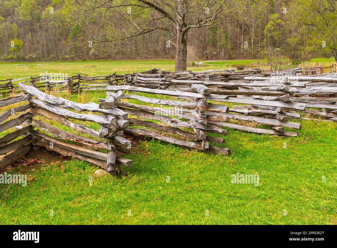 Old Time Fences