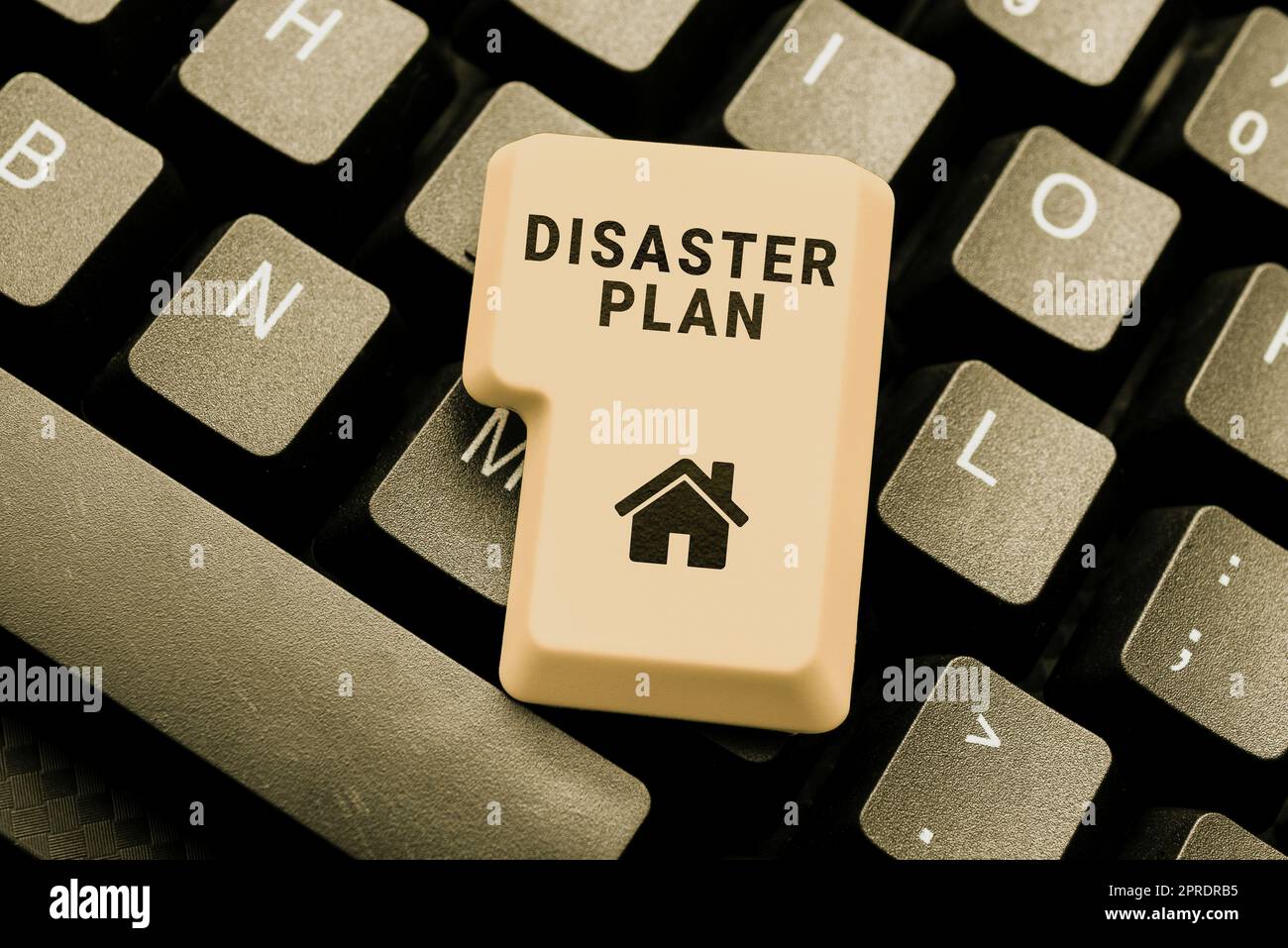 Text showing inspiration Disaster Plan. Word for Respond to Emergency ...