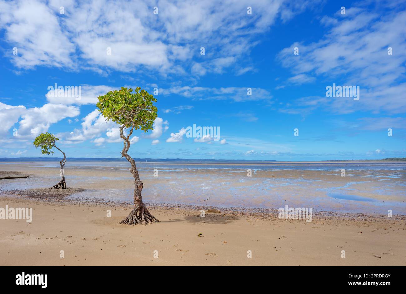 Poona creek hi-res stock photography and images - Alamy