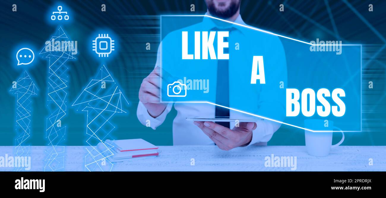 Conceptual display Like A Boss. Business overview Acting as if you are ...