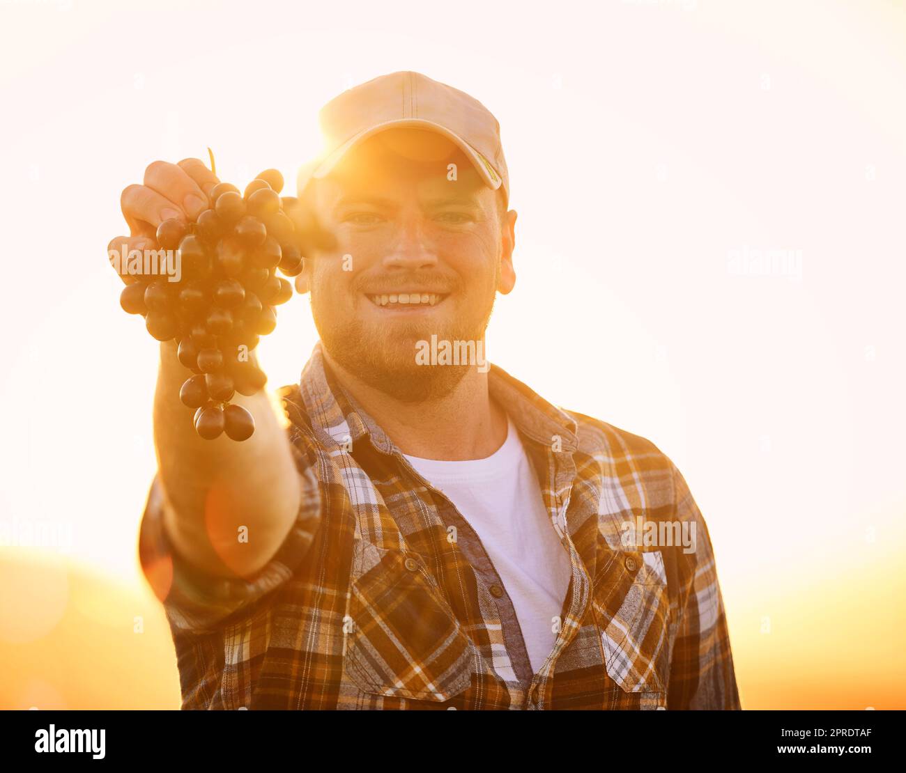 Business man and fruit hi-res stock photography and images - Alamy