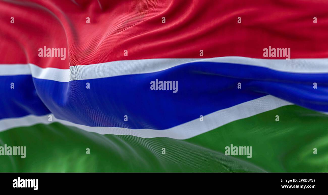 Close-up view of the Gambia national flag waving in the wind. The ...