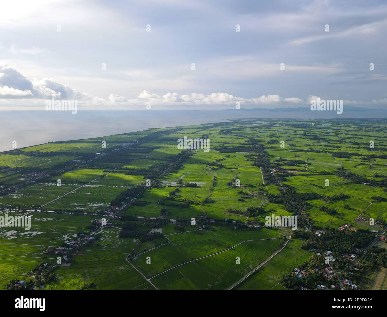 Drone over rice field hi-res stock photography and images - Alamy