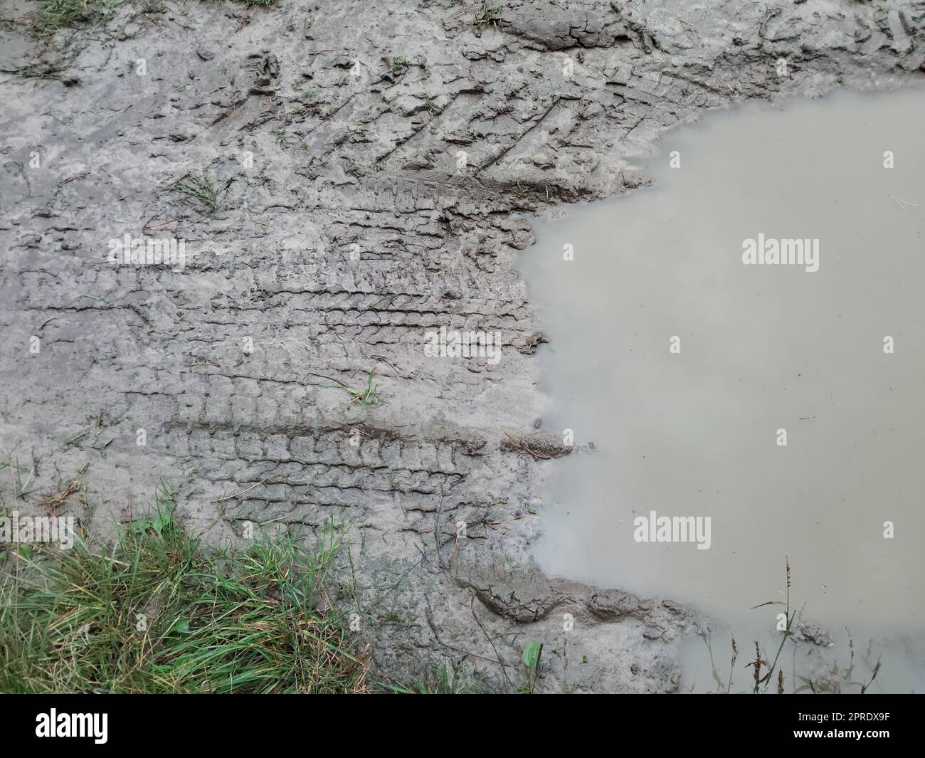 Dirt on a field in the village after rain and traces left by a the ...