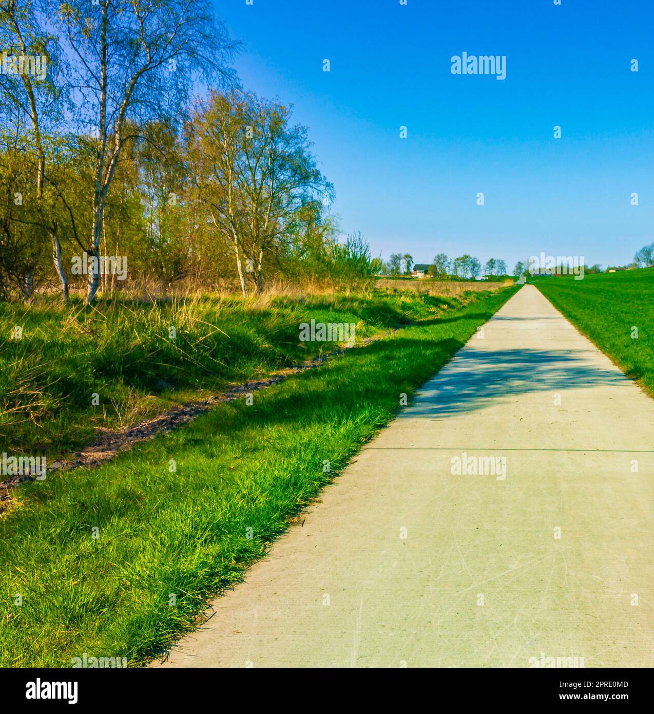 Wadden sea tidelands coast walking path landscape Lower Saxony Germany ...
