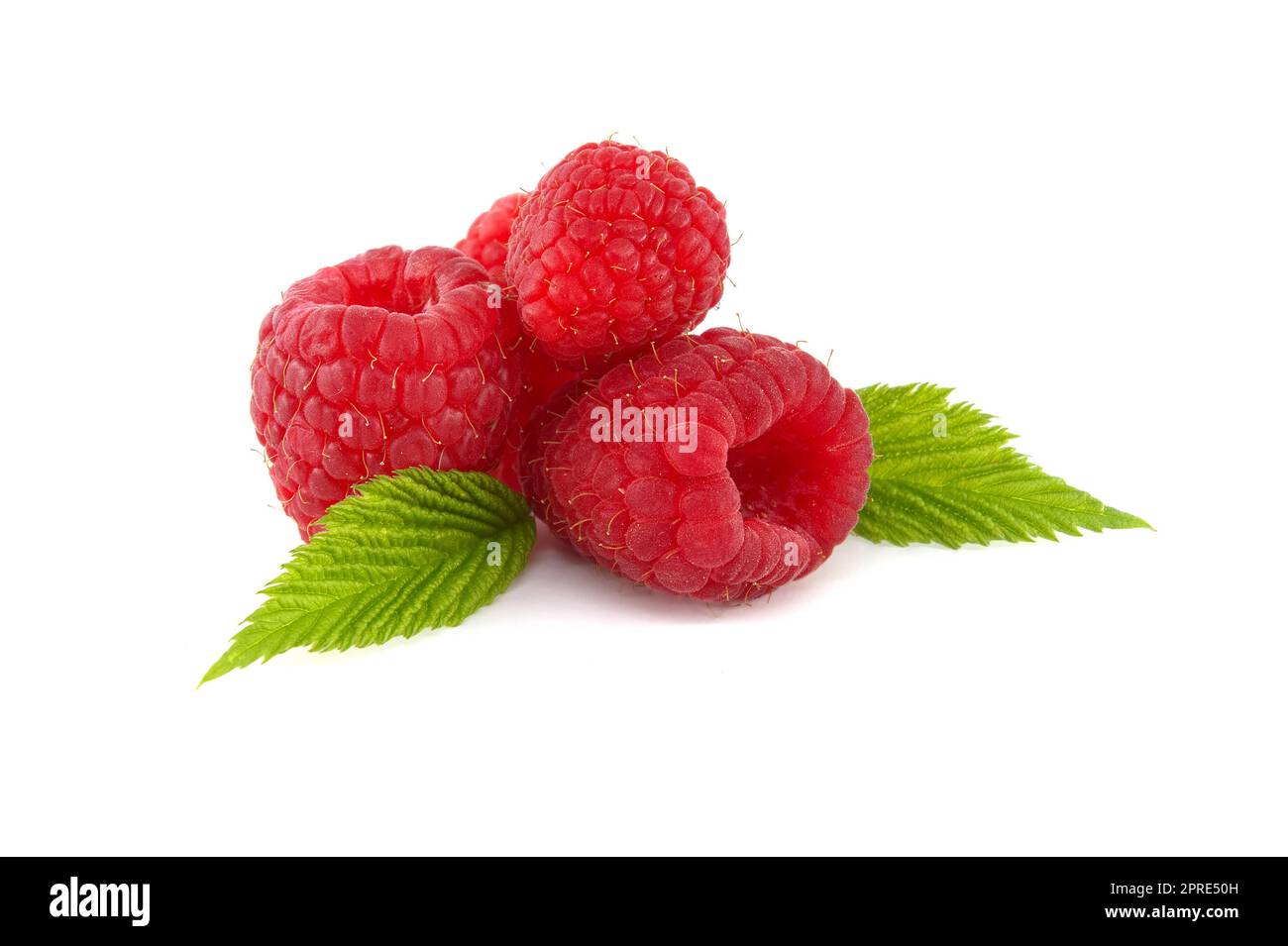 Red ripe raspberry berries with green leaves. Side view, isolated on ...