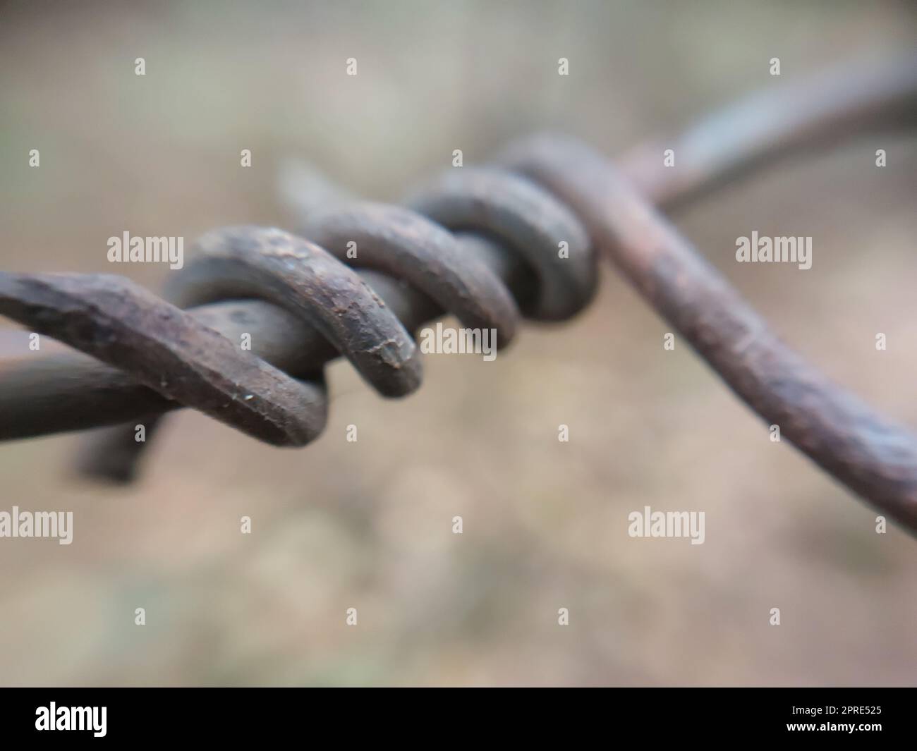 Border guard facility hi-res stock photography and images - Alamy
