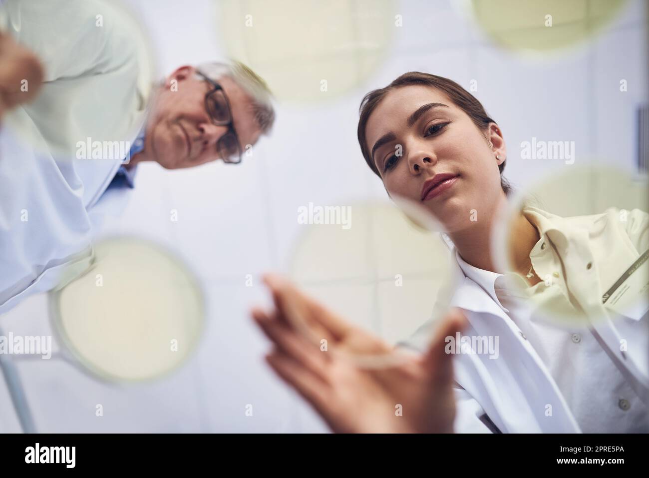 There are many mysteries to explore through science. Low angle shot of ...