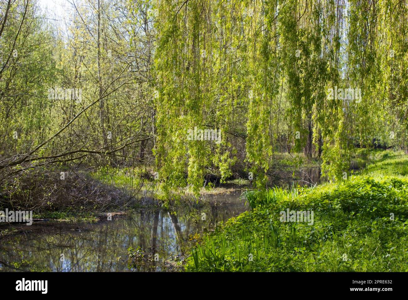 German countryside hi-res stock photography and images - Alamy