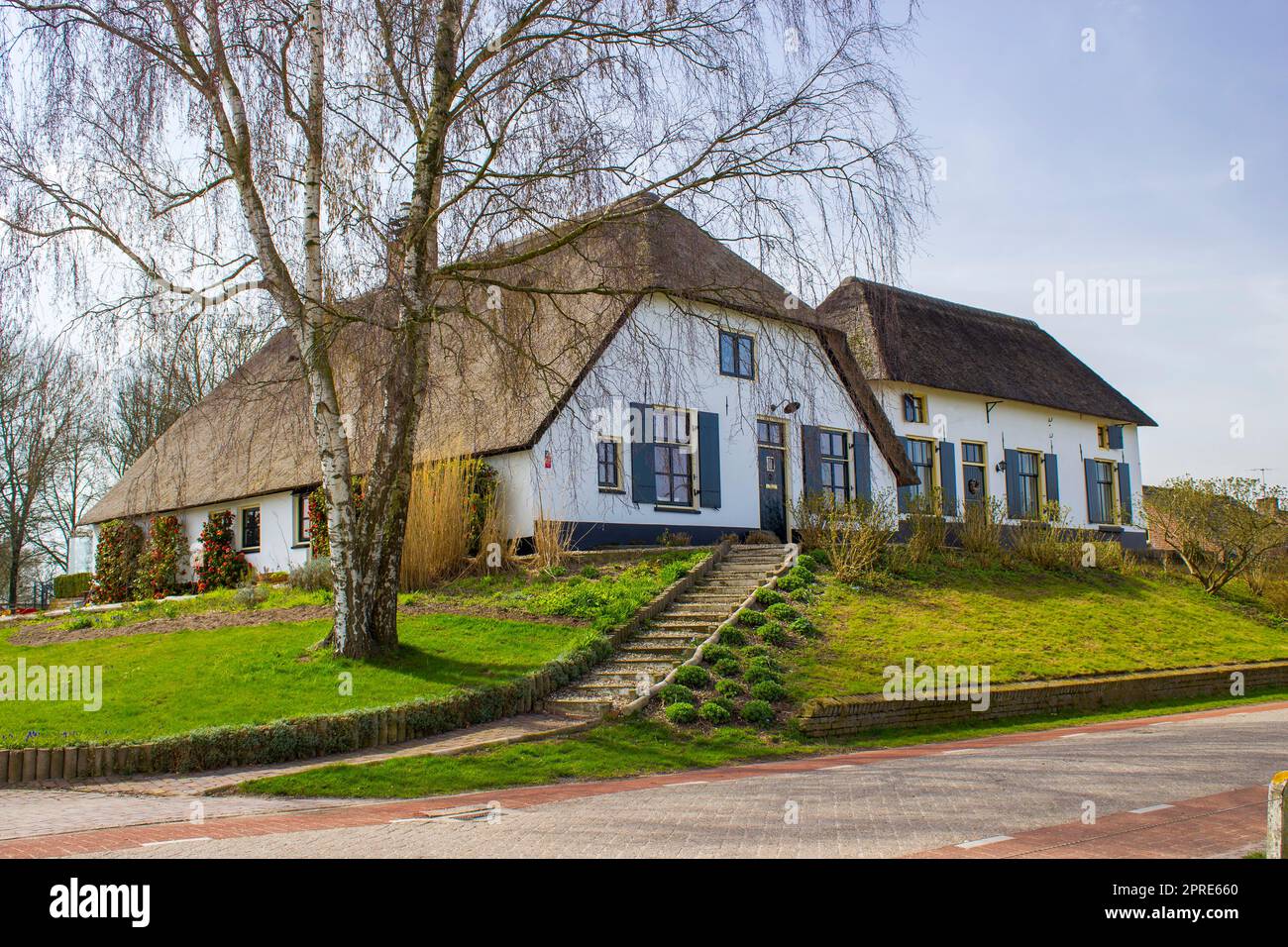 Typical dutch house with straw roof, with green garden. Country house ...