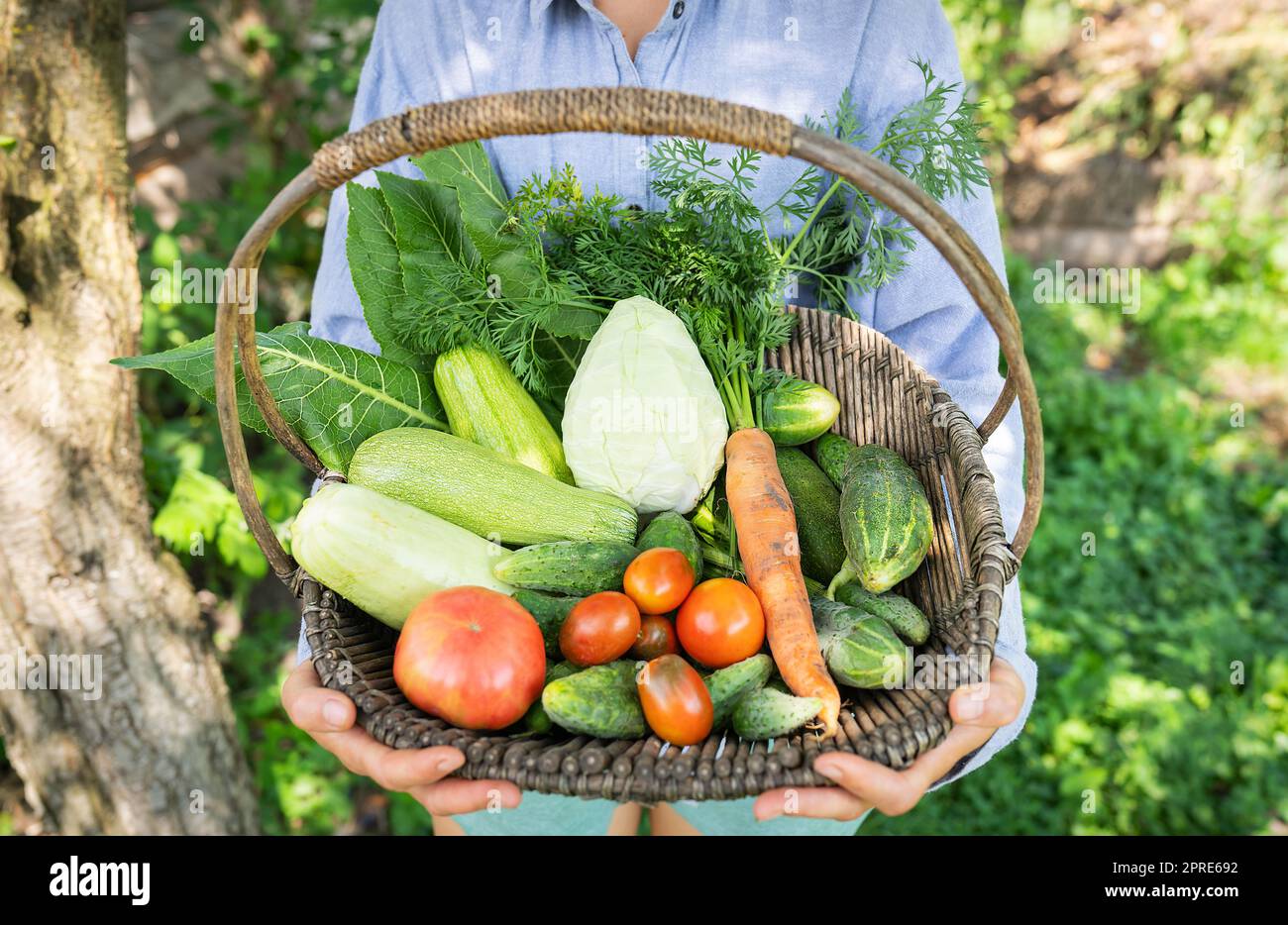 Man farmer holds beets hi-res stock photography and images - Alamy