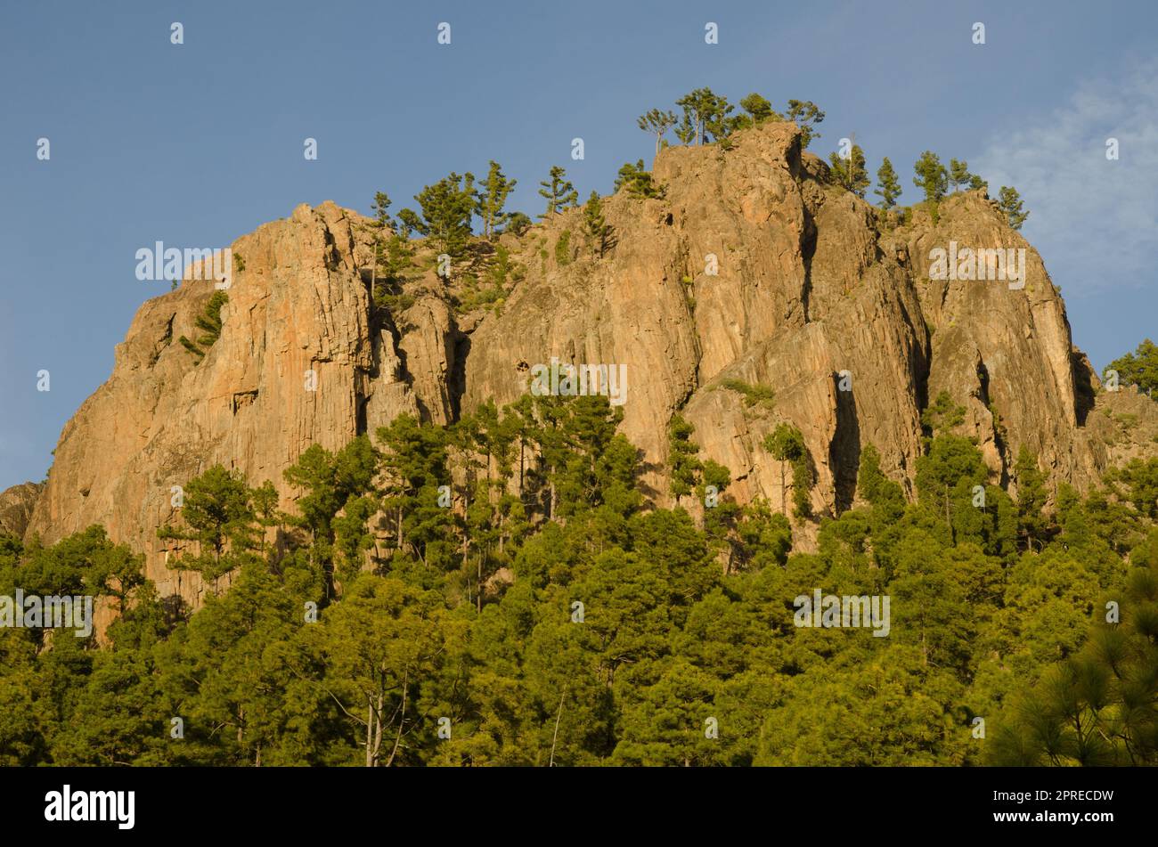 Pajonales hi-res stock photography and images - Alamy