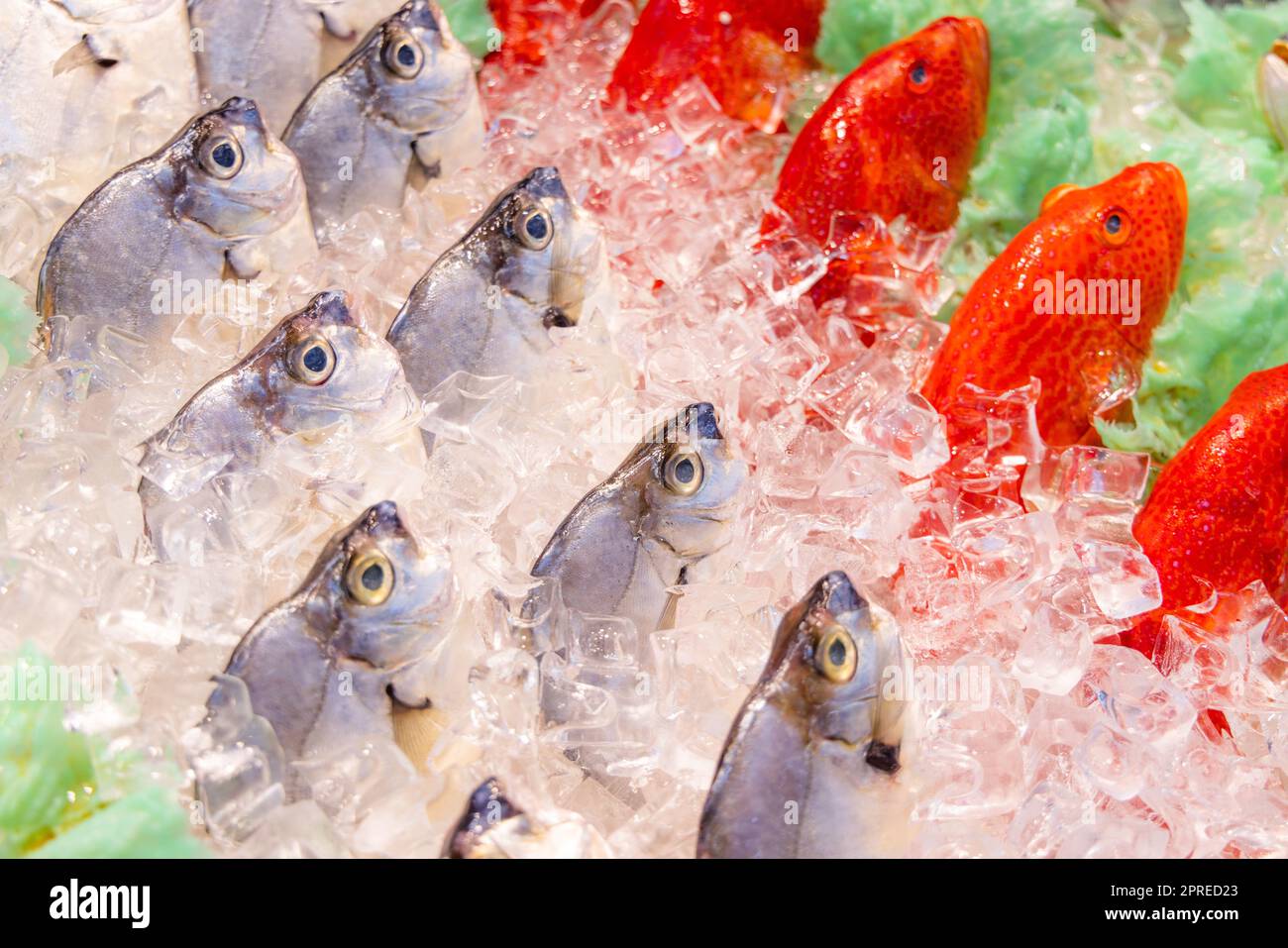 Fish selling in wet market Stock Photo - Alamy