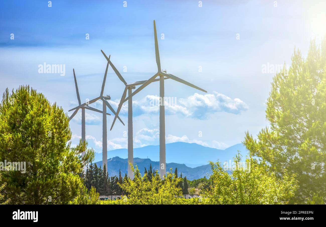 Wind farms in a field under soft sunlight Stock Photo - Alamy