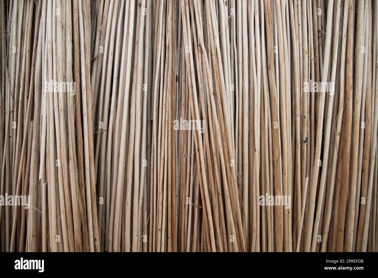 Rows and Rows of brown Jute Sticks Texture background of a field Stock ...