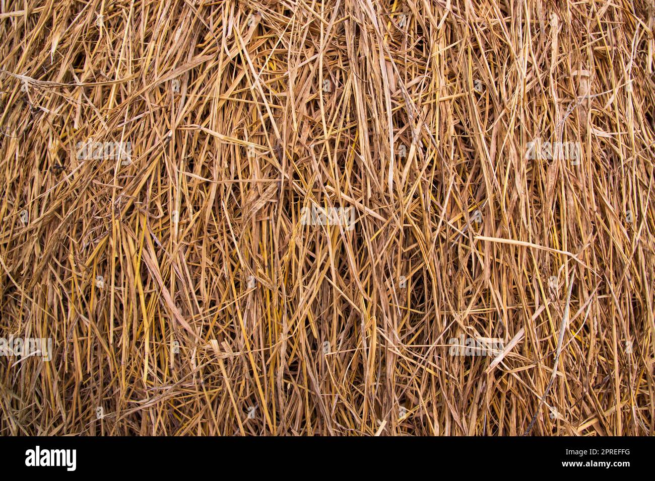 Brown hay, dry hay texture background Stock Photo - Alamy