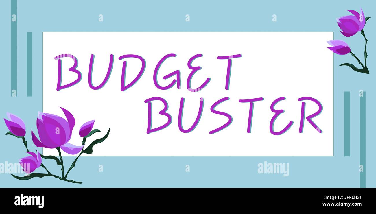 Hand writing sign Budget Buster, Business approach Carefree Spending ...