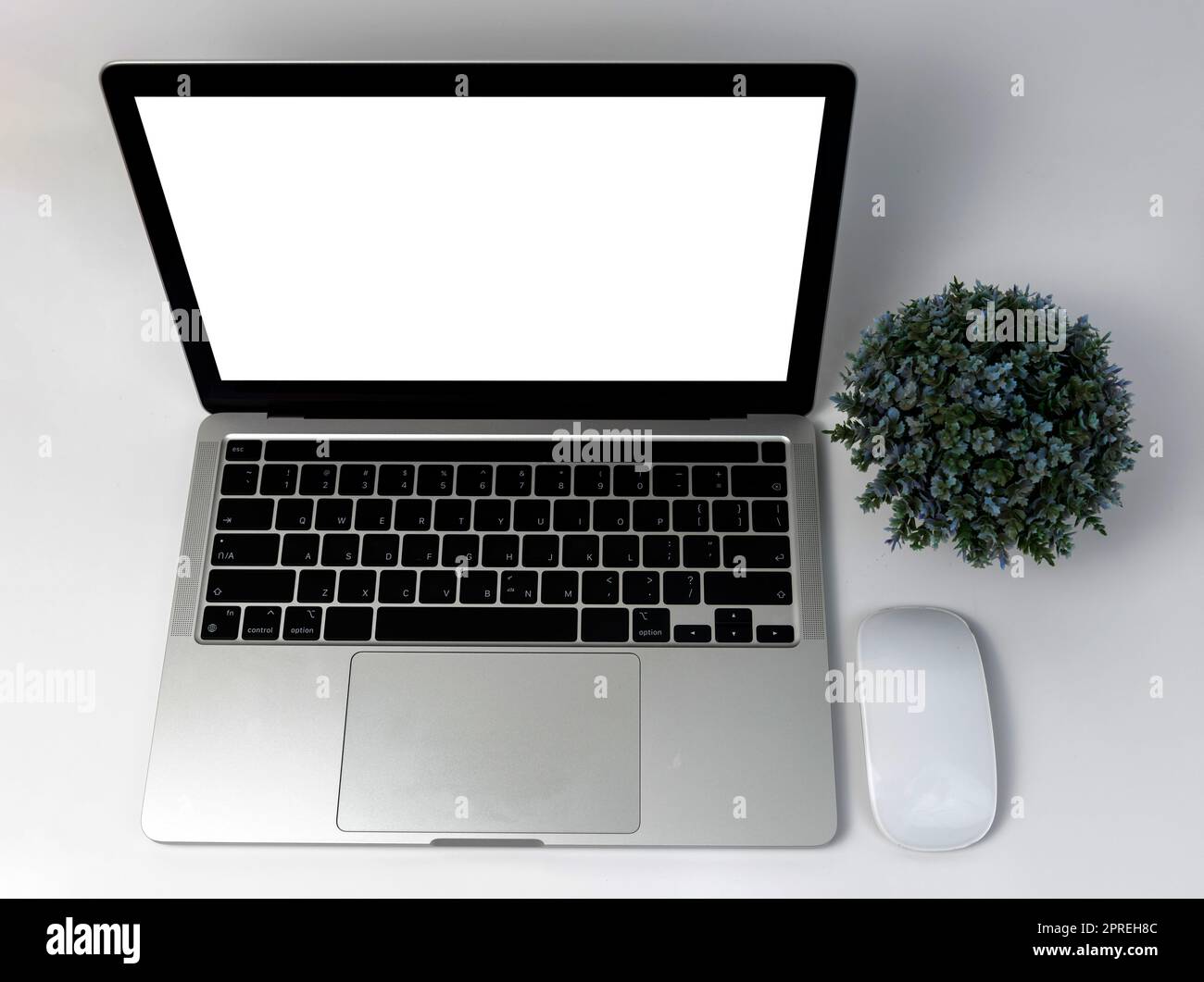 Laptop computer blank screen and mouse on white background Stock Photo ...