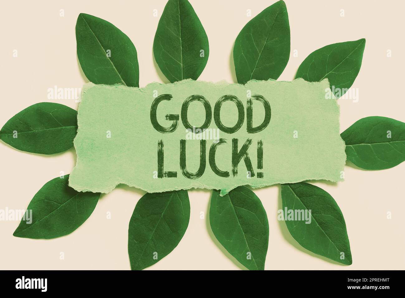 Inspiration showing sign Good Luck, Business showcase A positive ...