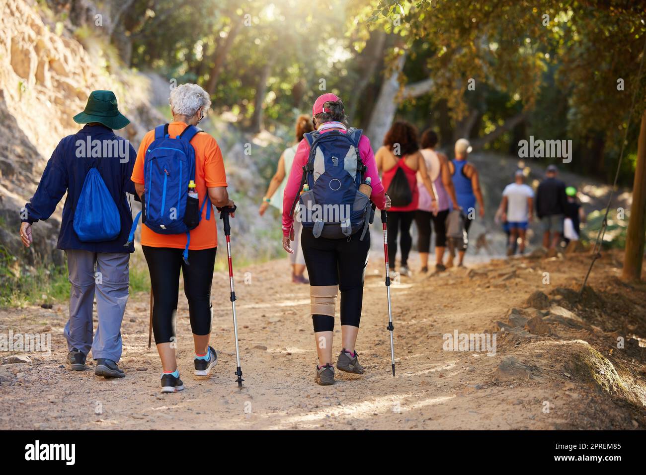 Fitness, health and hiking with people in forest for workout and ...