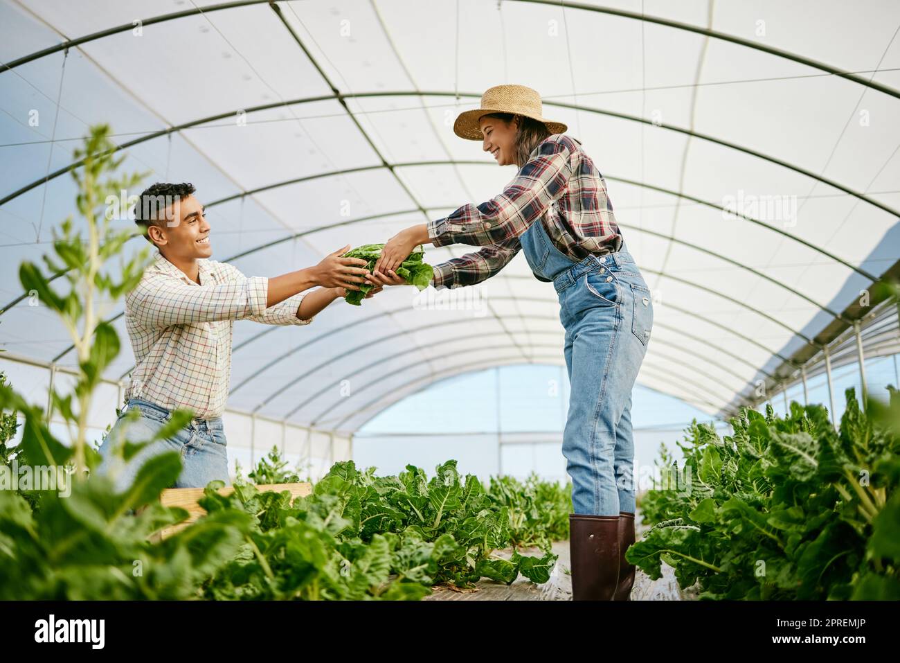One hand helps the other. a young male farmer giving his coworker ...
