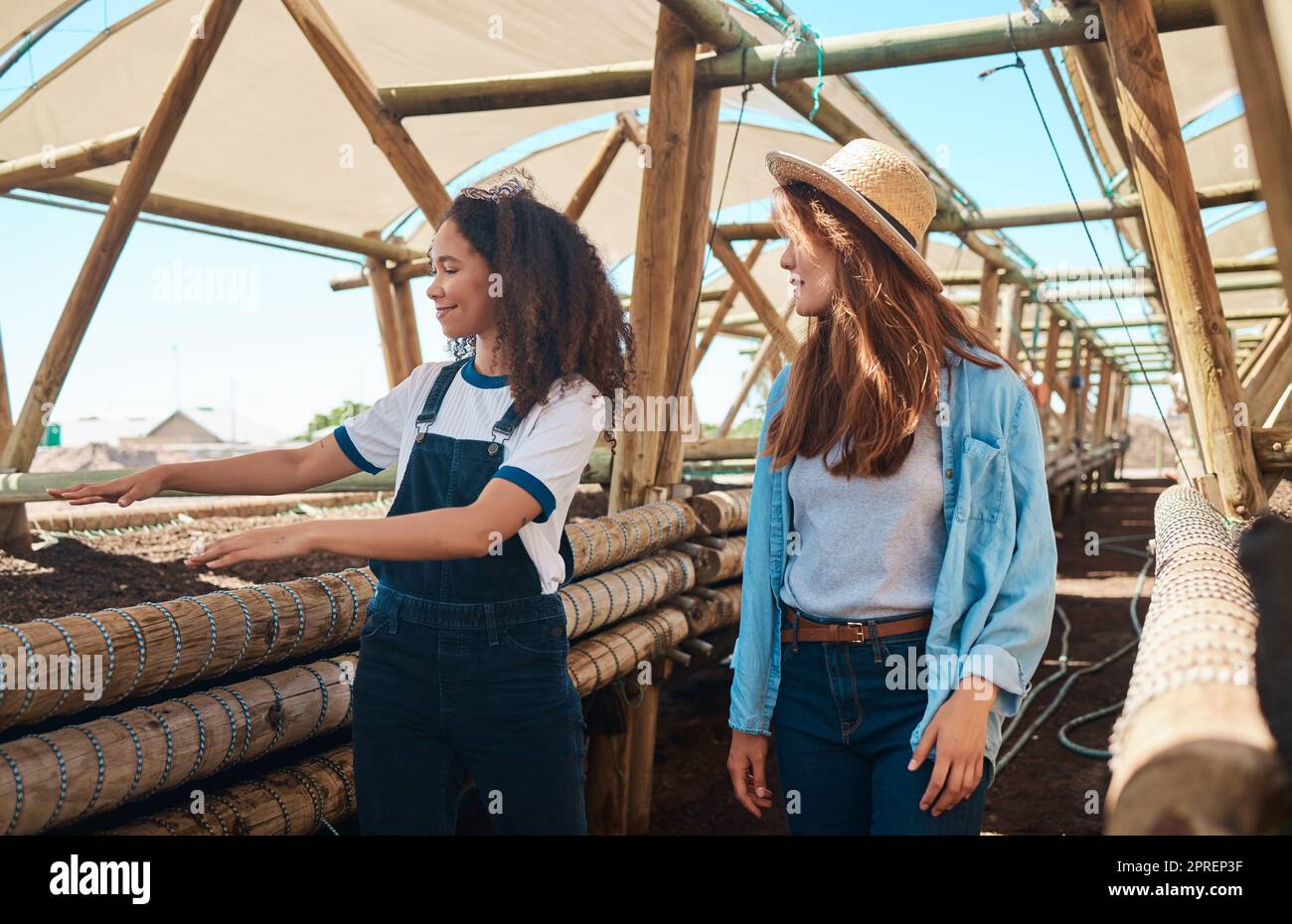 Regular crop maintenance can provide quality crops and stable yields ...