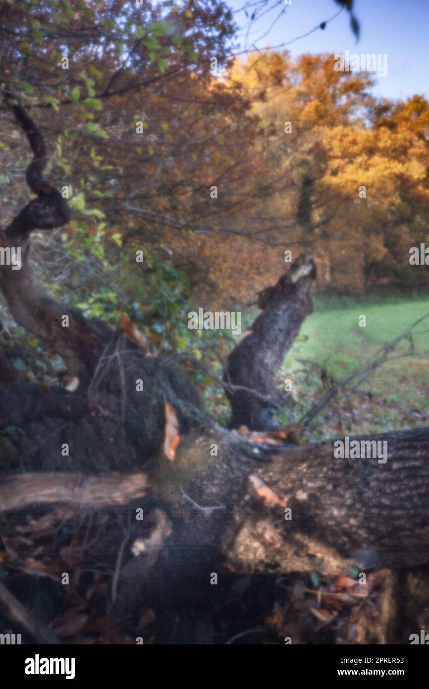 Collection features high resolution hi-res stock photography and images ...