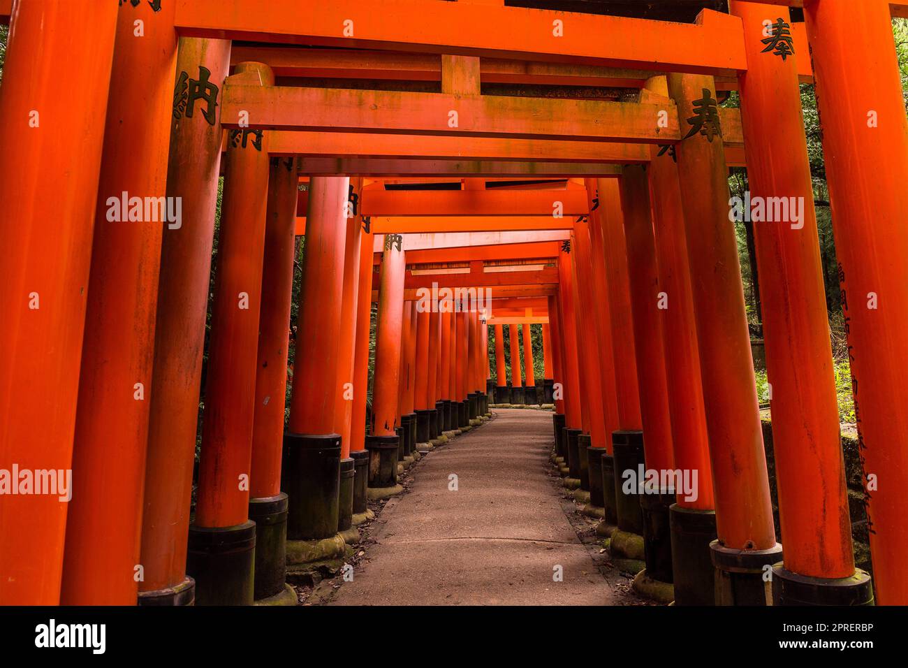 Otori taisha shrine hi-res stock photography and images - Alamy