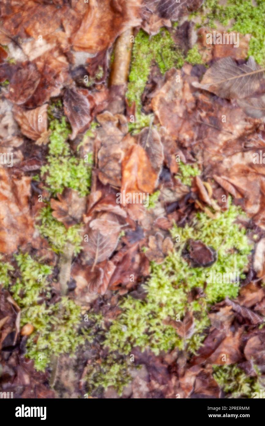 Pinhole Photography Abstract Series.New, Age-defying, digital age ...