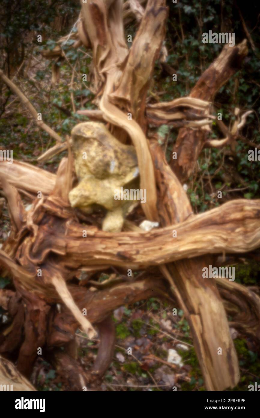 Pinhole Photography Abstract Series.New, Age-defying, digital age ...