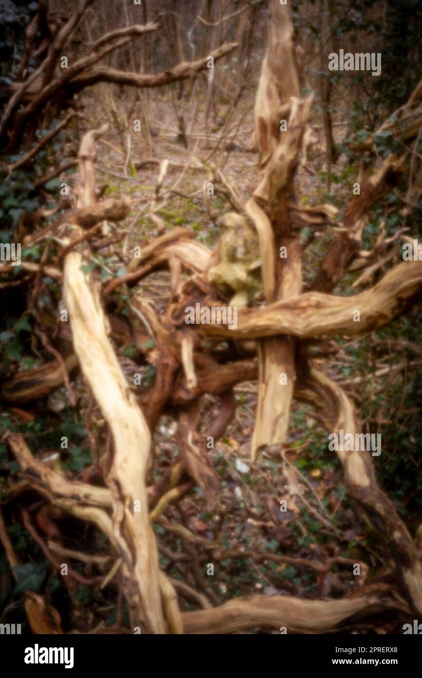 Pinhole Photography Abstract Series.New, Age-defying, digital age ...