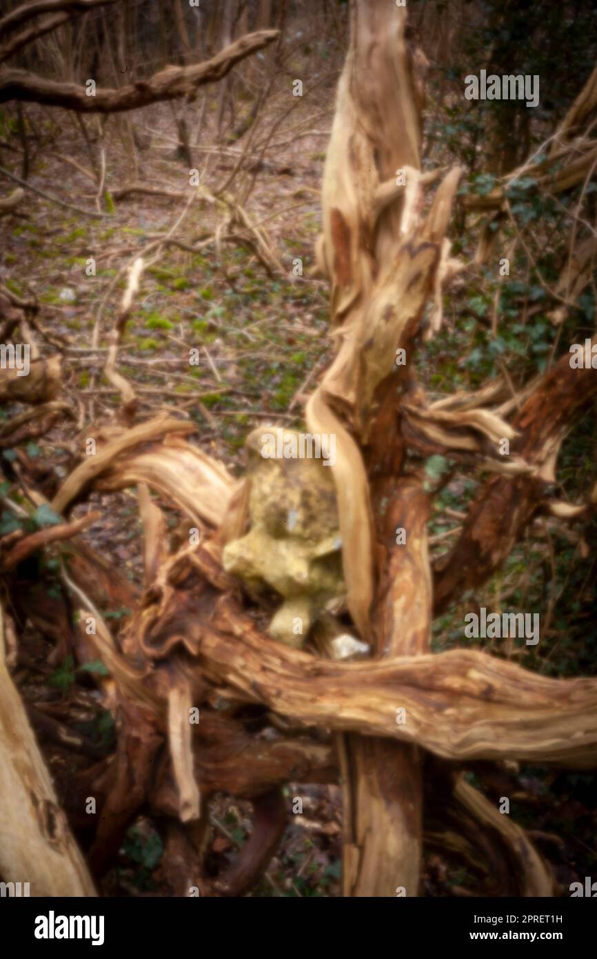 Pinhole Photography Abstract Series.New, Age-defying, digital age ...